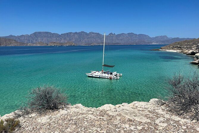 Snorkeling Catamaran Island Cruise - Key Points