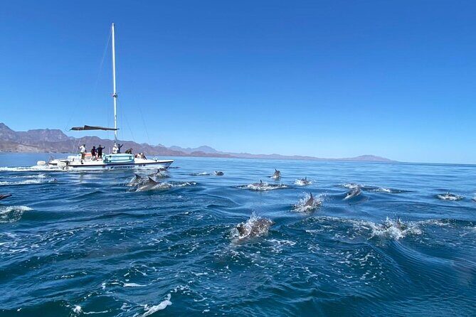 Snorkeling Catamaran Island Cruise - Authentic Experiences Shared in Reviews