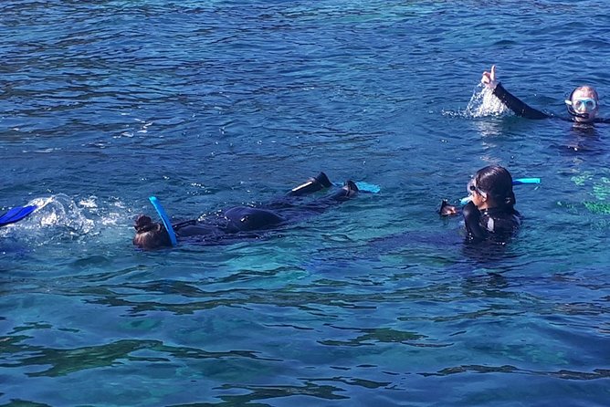 Snorkeling - Since You Asked