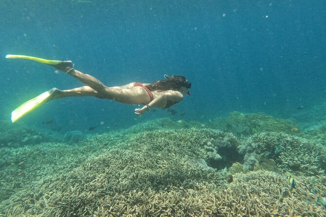 Snorkeling Day Trip to Nusa Lembongan and Nusa Penida - Why This Tour Could Be Your Best Choice