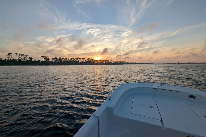 Snorkeling, Dolphin and Wildlife Sightings at St. Andrews Bay - Plan Your Perfect Day Out