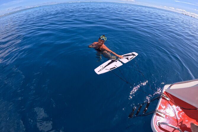 Snorkeling EN Subwing in Tahiti - Authentic Marine Encounters and Photogenic Moments