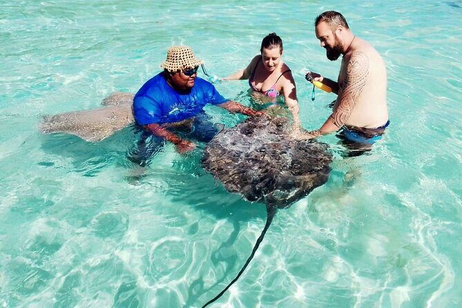 Snorkeling excursion and encounter with marine fauna in Moorea - The Itinerary in Detail