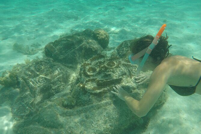 Snorkeling excursion and encounter with marine fauna in Moorea - Final Thoughts