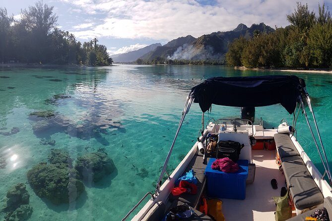 Snorkeling excursion, discovery of the lagoon, small group. - Key Points