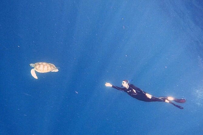 Snorkeling excursion in the Rayas and Turtles Zone - Real Traveler Insights