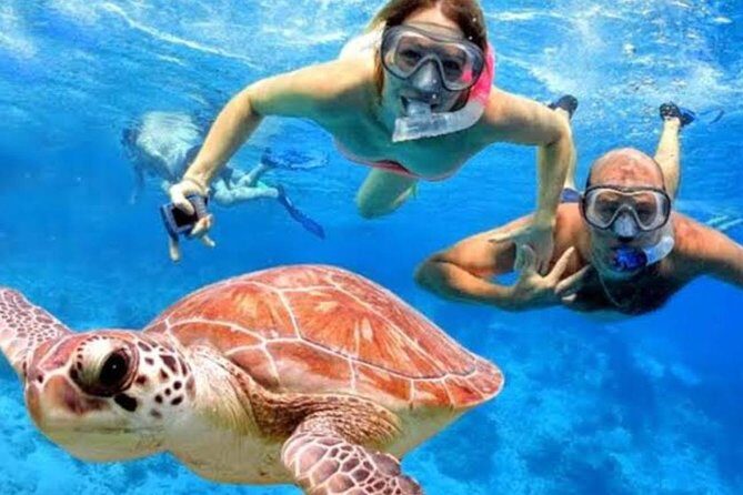 Snorkeling Experience At Blue Lagoon Bali With Lunch And Transfers - Practical Tips and Considerations