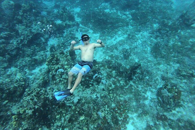 Snorkeling Experience Cozumel only from Playa del Carmen - Practical Tips for Travelers