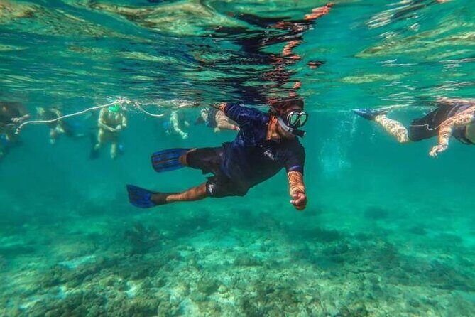 Snorkeling Experience in Cancun - Hands Underwater Museum - The Itinerary: A Deep Dive into the Underwater World