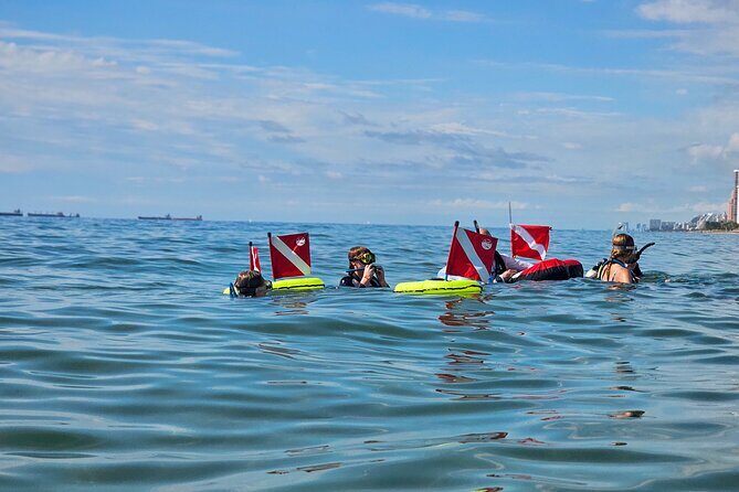 Snorkeling Experience on a NEMO Diving System - The Sum Up: A Fresh Take on Snorkeling