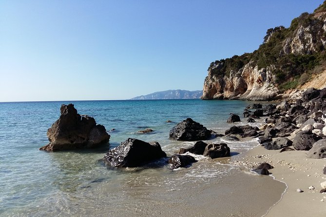 Snorkeling Experience to Discover the Dolphin Inside You! - Inclusions and Details