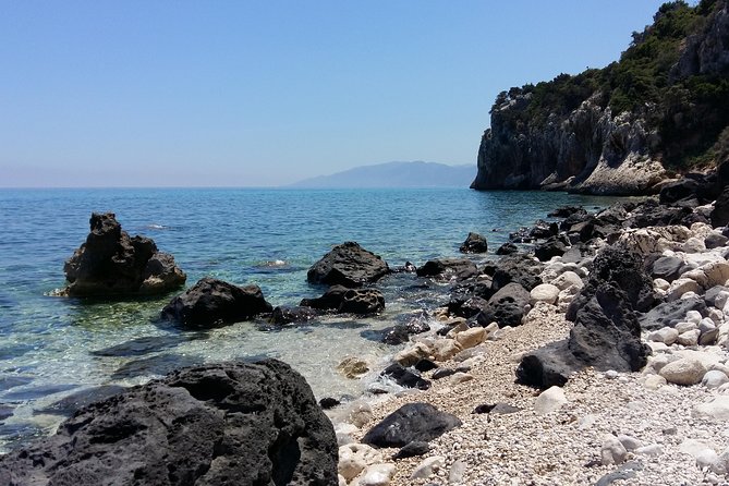 Snorkeling Experience to Discover the Dolphin Inside You! - Booking Information