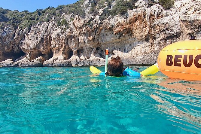 Snorkeling Experience to Discover the Dolphin Inside You! - What to Expect on Your Snorkeling Adventure