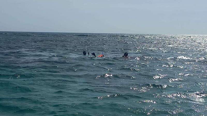 Snorkeling Express Puerto Morelos - Why This Tour Works Well