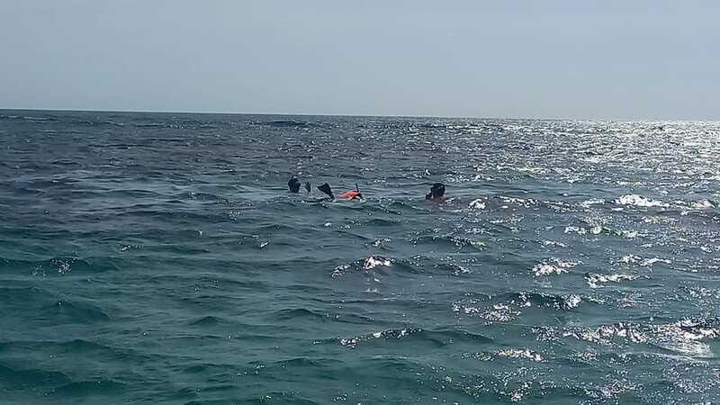 Snorkeling Express Puerto Morelos - Who Would Enjoy This Experience?