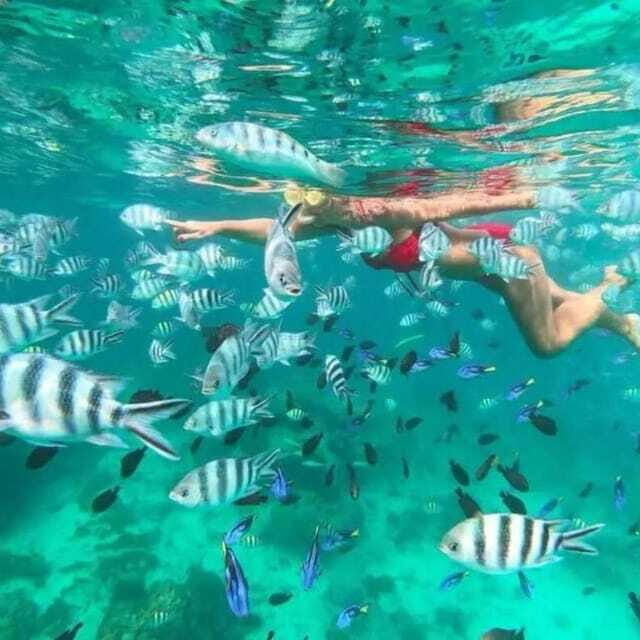 Snorkeling Express Puerto Morelos - FAQ