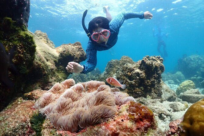 Snorkeling Full Day Experience from Bangkok - An In-Depth Look at the Snorkeling Day