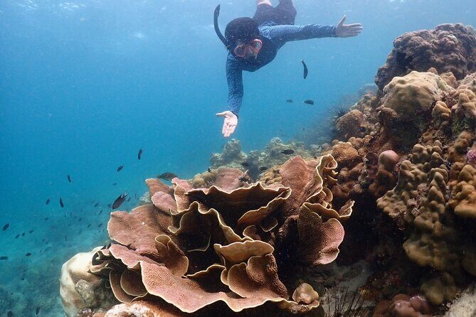 Snorkeling Full Day Experience from Bangkok - Practical Tips for Travelers