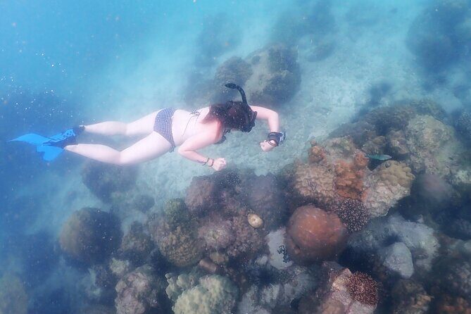 Snorkeling Full Day Experience from Bangkok - FAQ