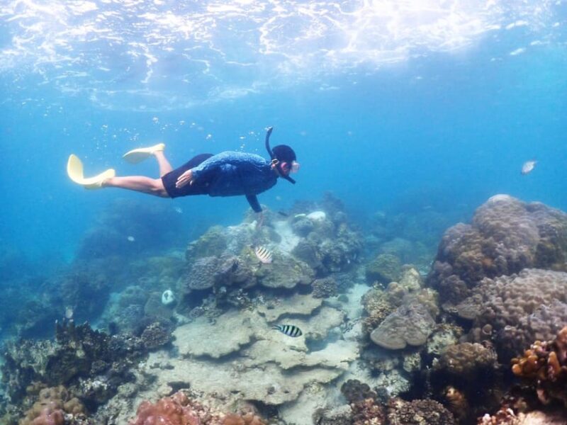 Snorkeling Full Day Experience from Bangkok - Key Points