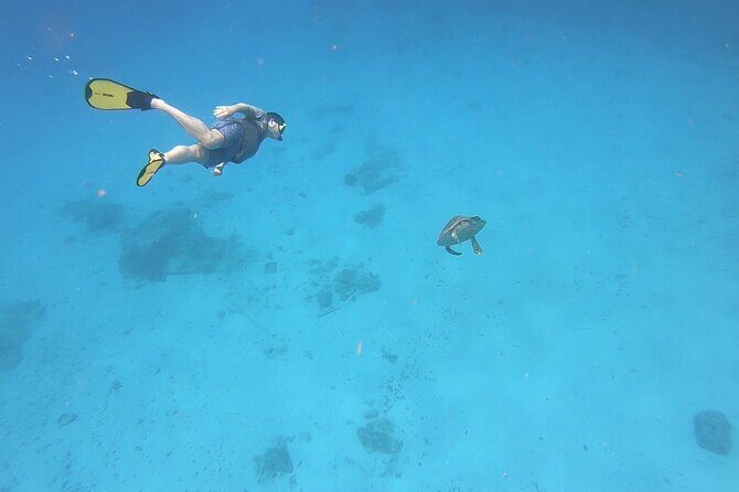 Snorkeling Gear Rental - Why Choose Snorkeling Gear Rental on St. Croix?