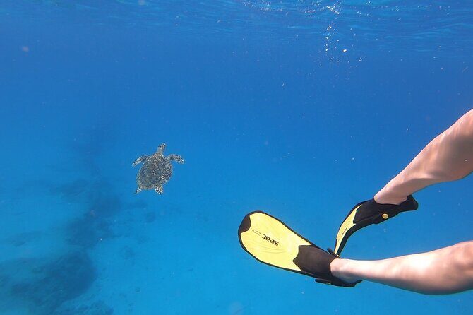 Snorkeling Gear Rental - Booking and Cancellation Policies