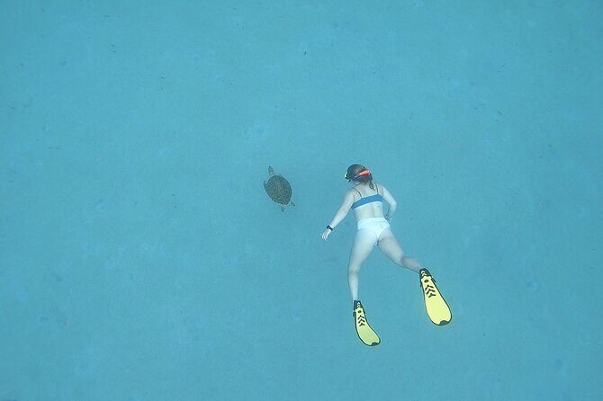 Snorkeling Gear Rental - Authentic Experiences from Other Travelers