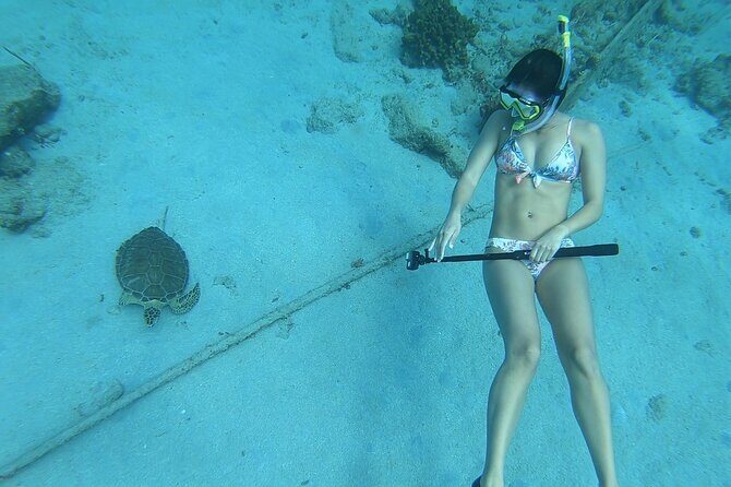 Snorkeling Gear Rental - Who Will Benefit Most?