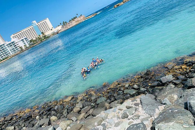 Snorkeling Guided Tour Experience in Condado Lagoon - The Experience: What to Expect at Each Stop