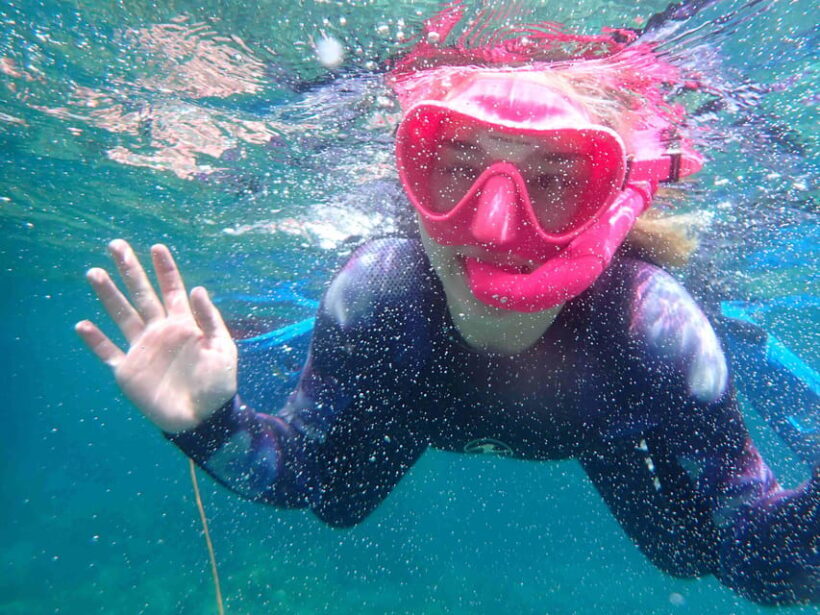 Snorkeling guided tours for tha all family! - A Closer Look at the Experience