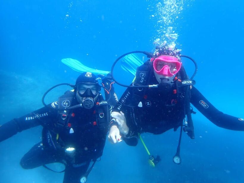 Snorkeling guided tours for tha all family! - Authentic Reviews: What Other Travelers Say