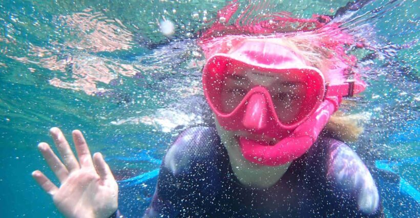 Snorkeling guided tours for tha all family! - The Sum Up