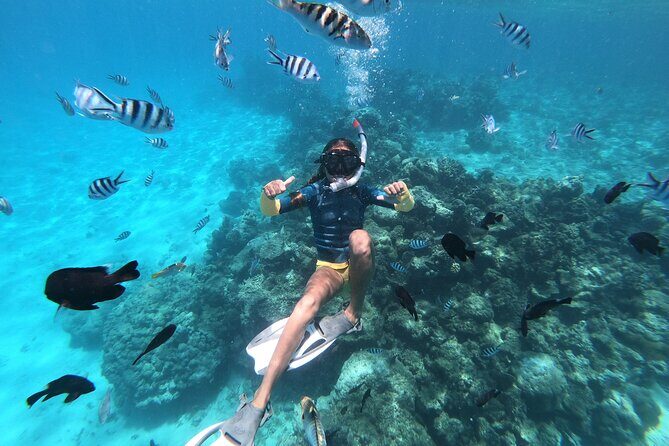 Snorkeling immersion in the wonders of Tahiti - The Sum Up