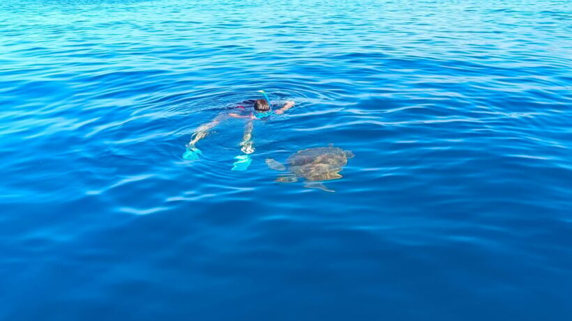 Snorkeling in a Volcanic Bay - The Sum Up: A Calm, Authentic Underwater Experience