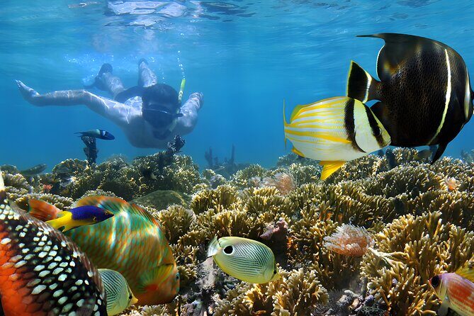 Snorkeling in Blue Lagoon Padang Bai Bali : Snorkel in the clear blue waters - Key Points