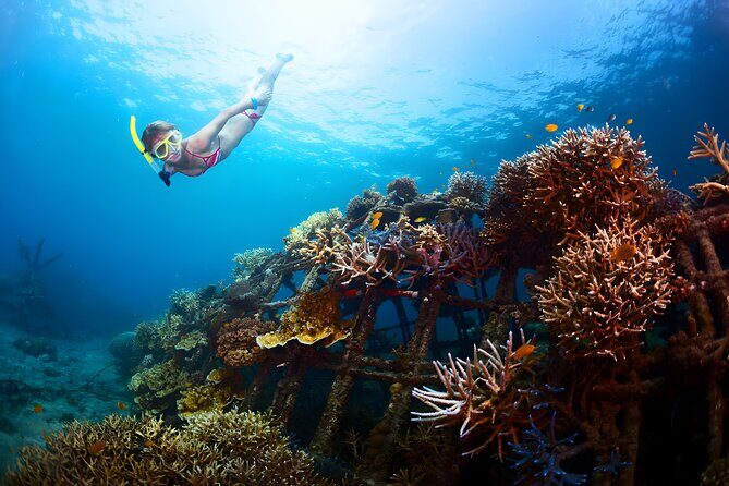 Snorkeling in Blue Lagoon Padang Bai Bali : Snorkel in the clear blue waters - An Overview of the Experience