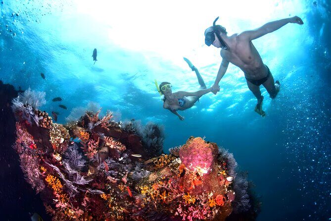Snorkeling in Blue Lagoon Padang Bai Bali : Snorkel in the clear blue waters - The Sum Up