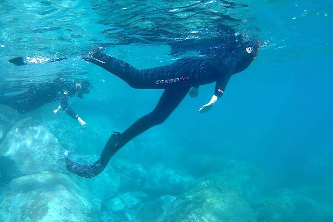 Snorkeling in Gran Canaria Review - Group Size and Fitness Requirements