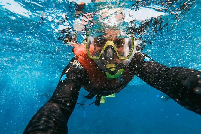 Snorkeling in Gran Canaria with Hotel Pick-up - Who Will Appreciate This Tour?
