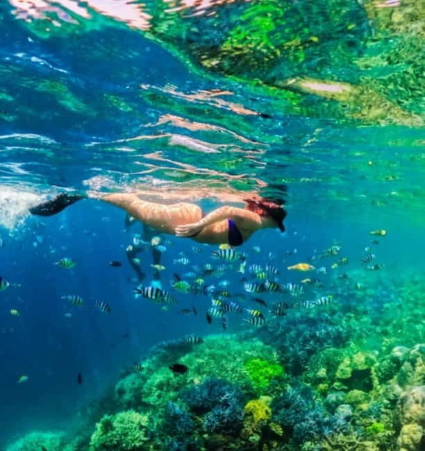 Snorkeling in hidden Gili of Lombok/ Day trip - Key Points