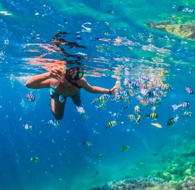 Snorkeling in hidden Gili of Lombok/ Day trip - Practical Tips for a Smooth Trip