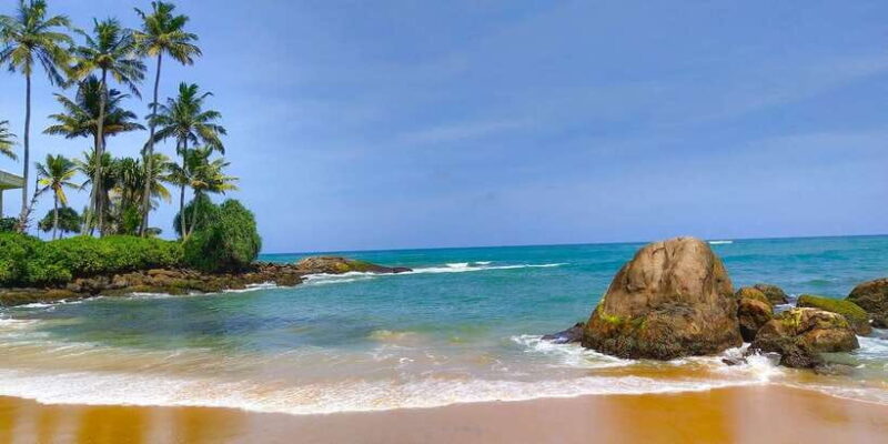 Snorkeling in Hikkaduwa - Final Thoughts: Who Is This Tour Perfect For?