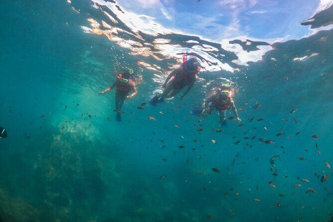 Snorkeling in Marietas Islands and BBQ in Playa Majahuitas - An In-Depth Look at the Tour Experience