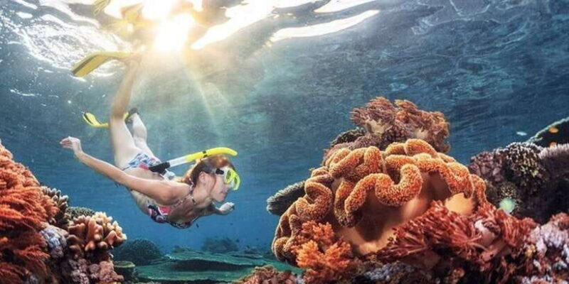 Snorkeling in Negombo - Who Will Love This Tour?