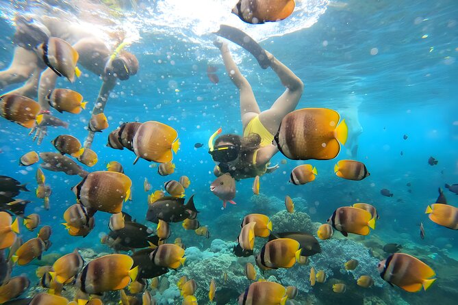 Snorkeling In Nusa Penida Departing From Bali Island - The Itinerary Breakdown