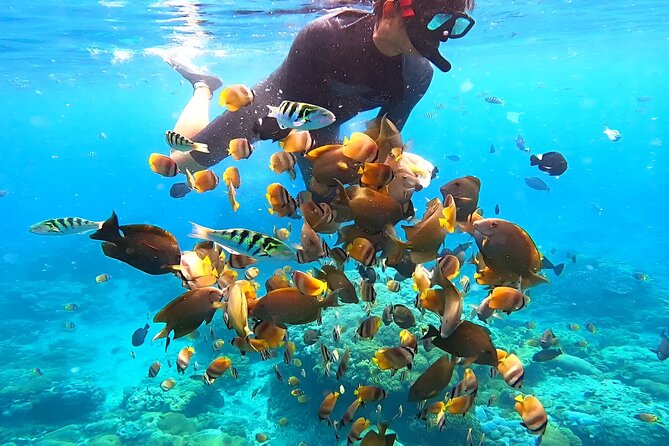 Snorkeling In Nusa Penida Departing From Bali Island - Real Traveler Insights