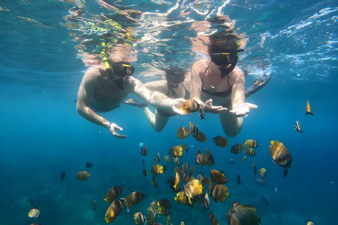 Snorkeling In Nusa Penida Departing From Bali Island - Pricing and Value
