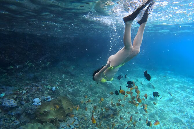 Snorkeling In Nusa Penida Departing From Bali Island - Who Should Consider This Tour?