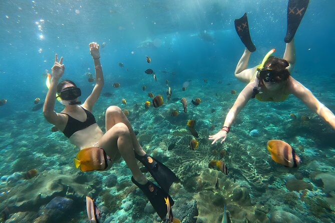 Snorkeling In Nusa Penida Departing From Bali Island - FAQ
