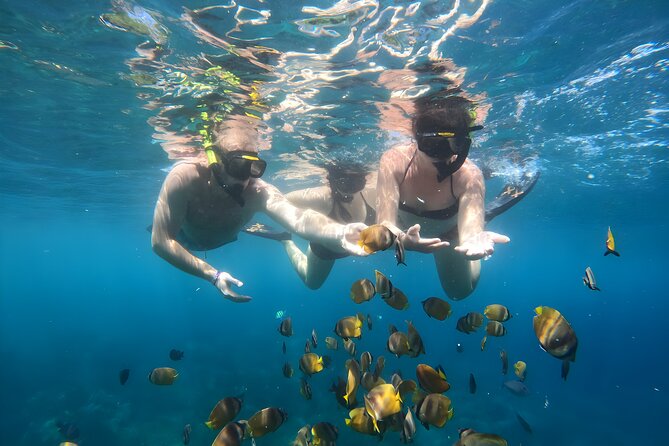 Snorkeling In Nusa Penida Island With Manta Ray From Bali - Who Is This Tour Best For?